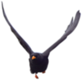 Monachil Sierra Nevada Turismo